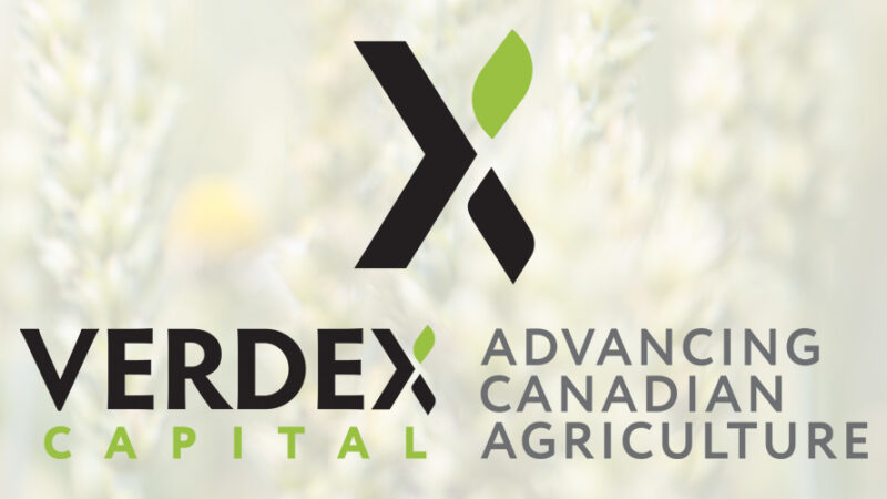 Verdex Capital, formerly AVAC Group